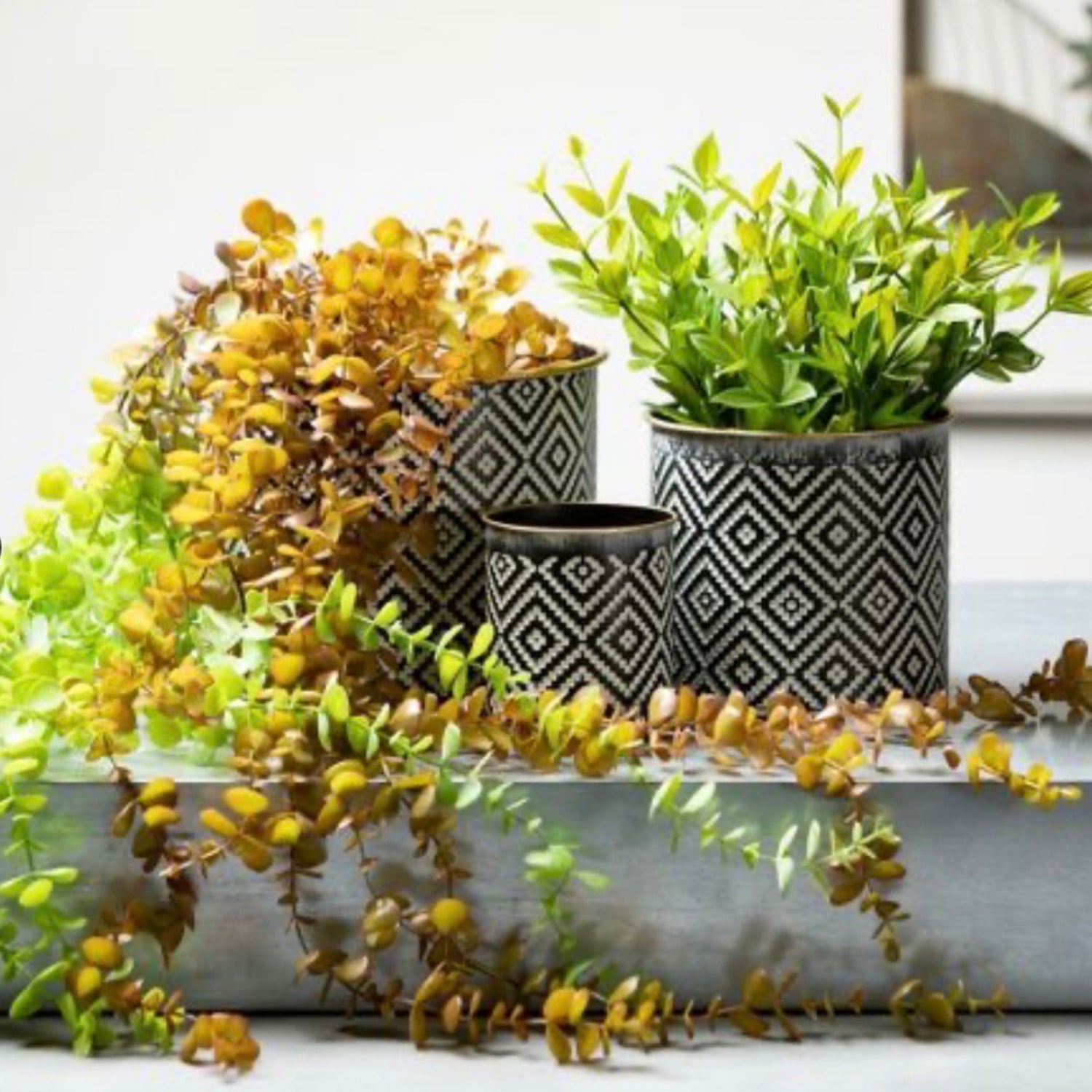 Deal Genius | Discount Online Shopping with Daily Deals